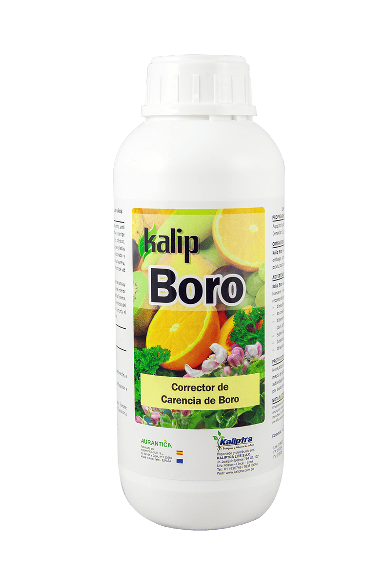 KALIP BORO - Kaliptra