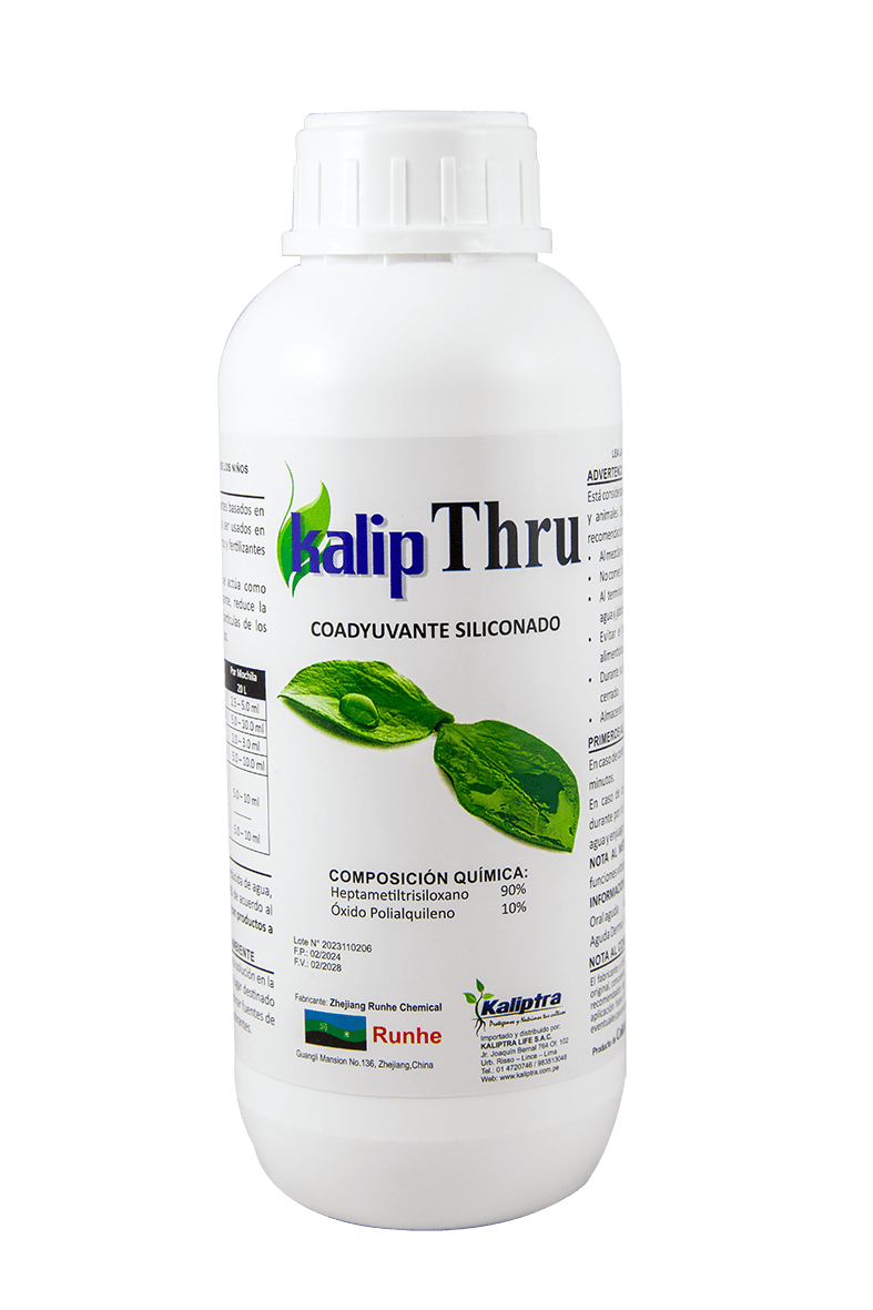 KALIP THRU archivos - Kaliptra